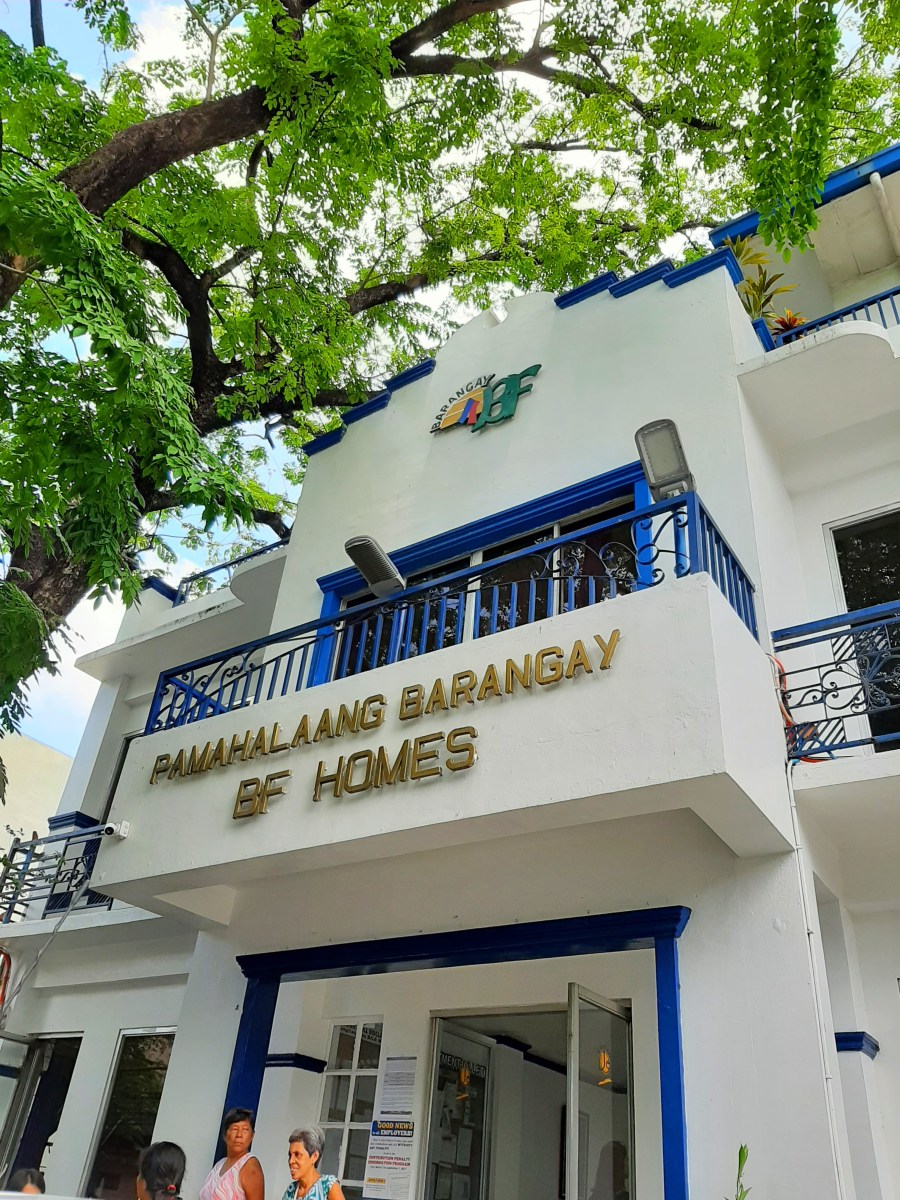 My Observations: Barangay BF Homes Takes Action Versus Dengue – Author ...